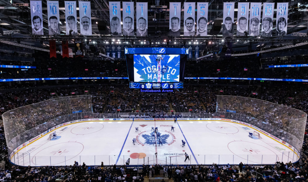 Toronto Maple Leafs - Stadium Dude