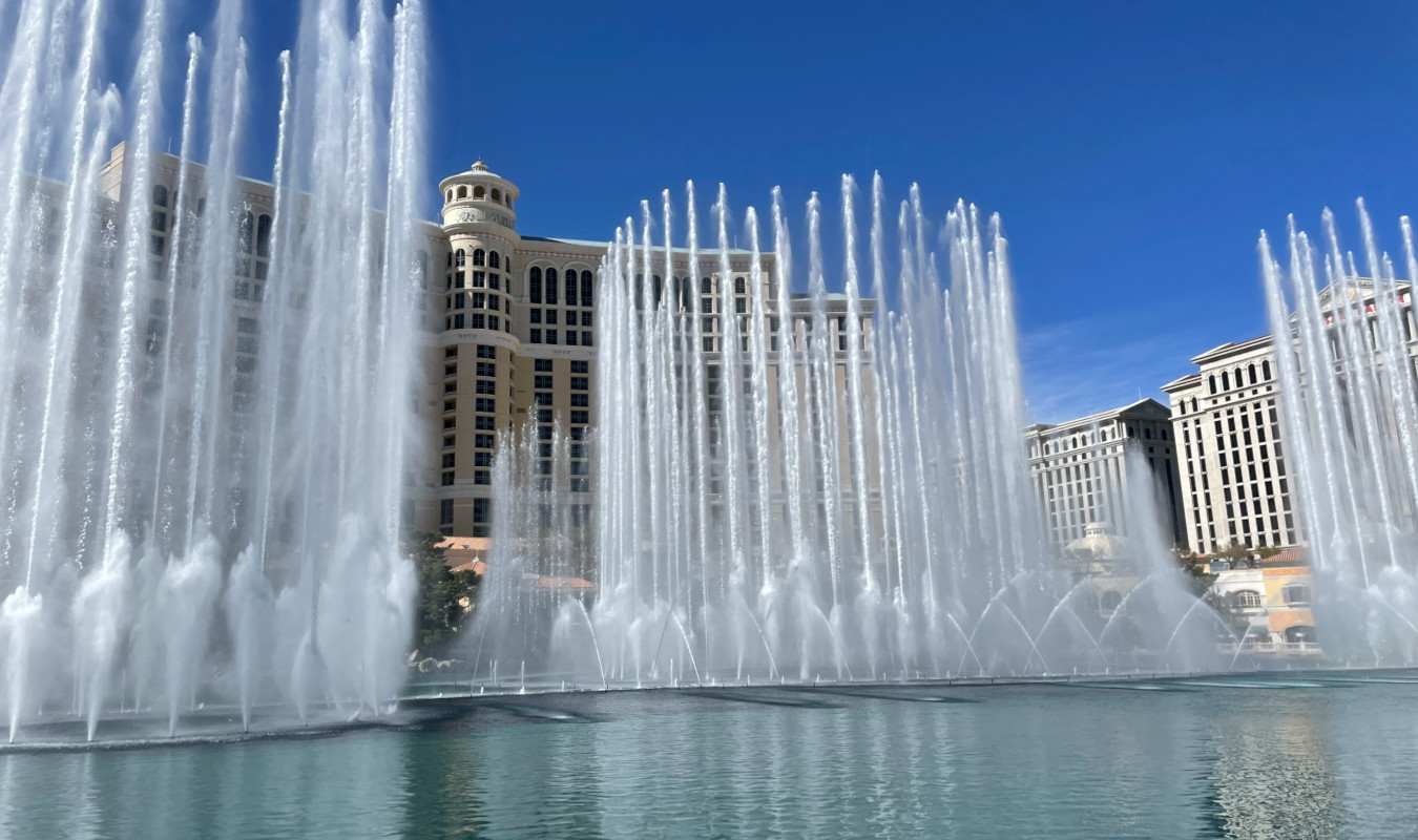 Vegas, Baby! - Stadium Dude